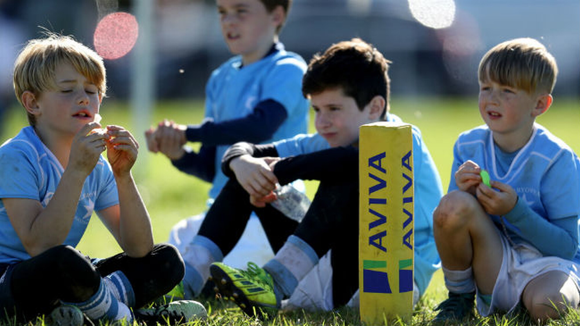 Irish Rugby TV: Aviva Minis Festival At UL Bohemians | Irish Rugby