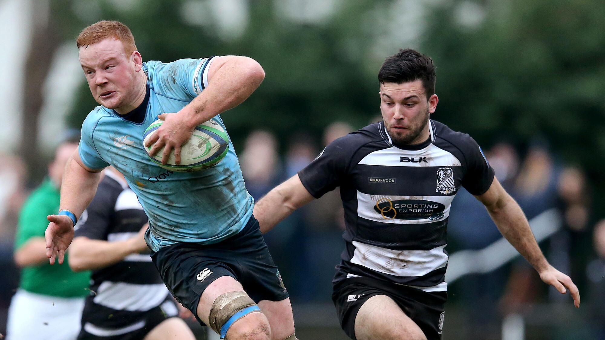 Porter And Timmins Impress As UCD Extend Lead At Top | Irish Rugby